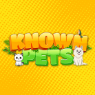 Top 10 Facts About Ferrets You Didn't Know